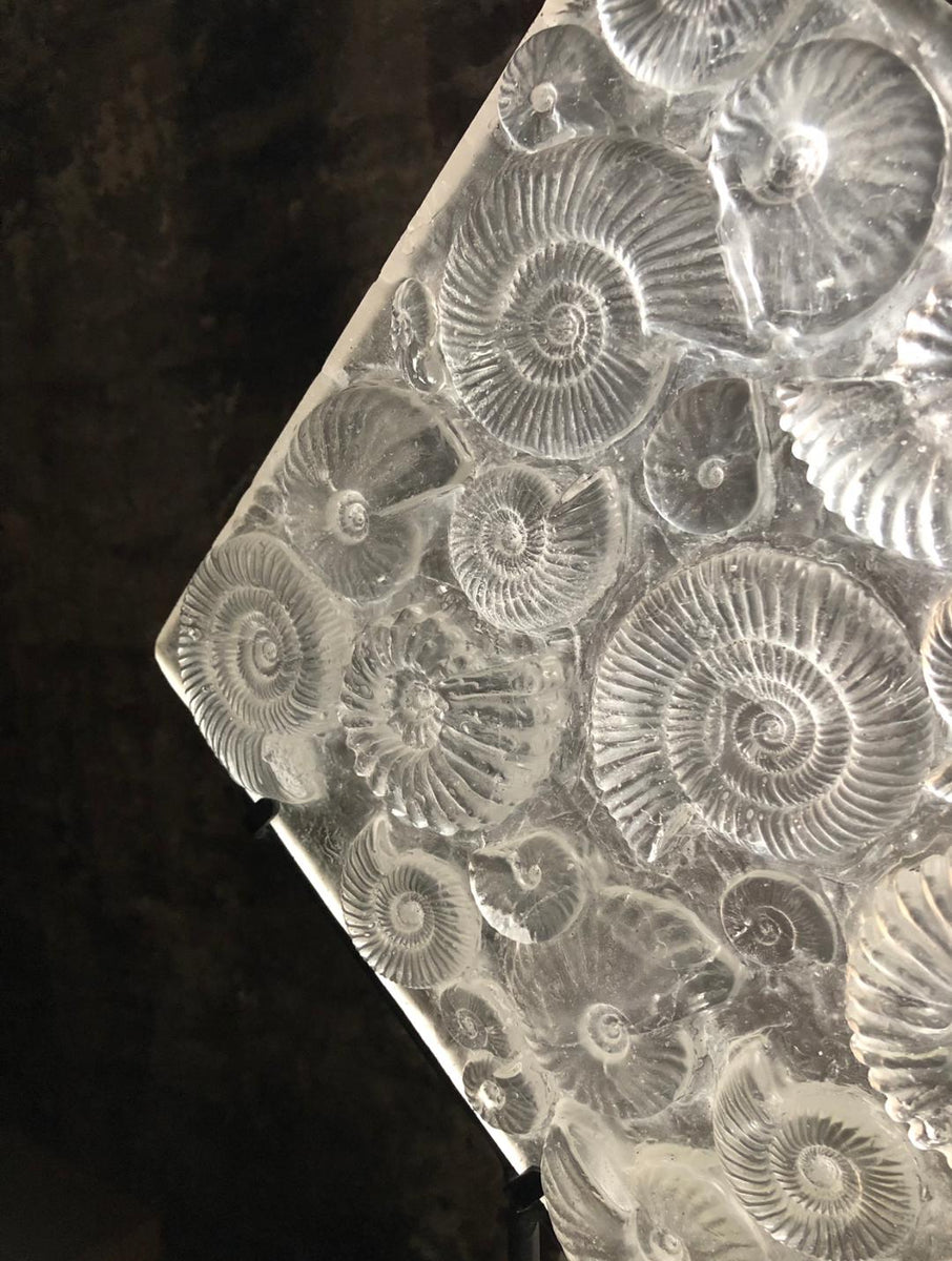 Cast Glass Ammonite Panel (Sculpture) – Shop J Sinkus Glass