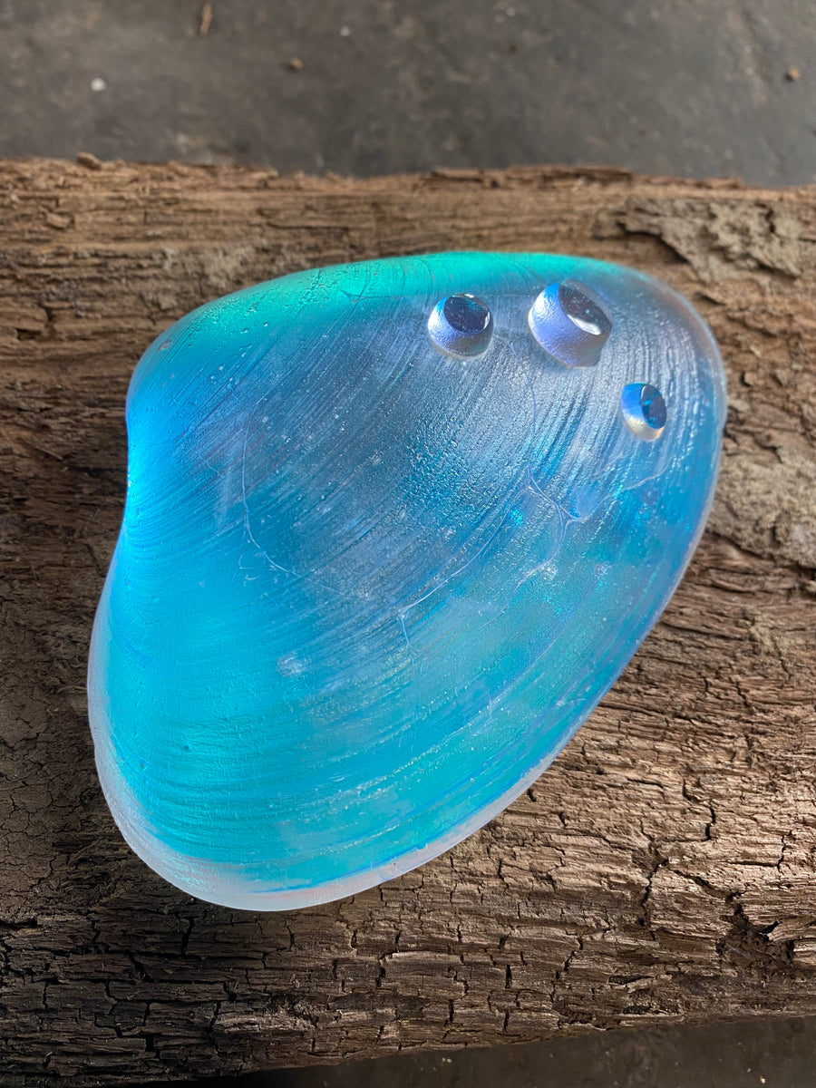 New England Window Clam – Shop J Sinkus Glass
